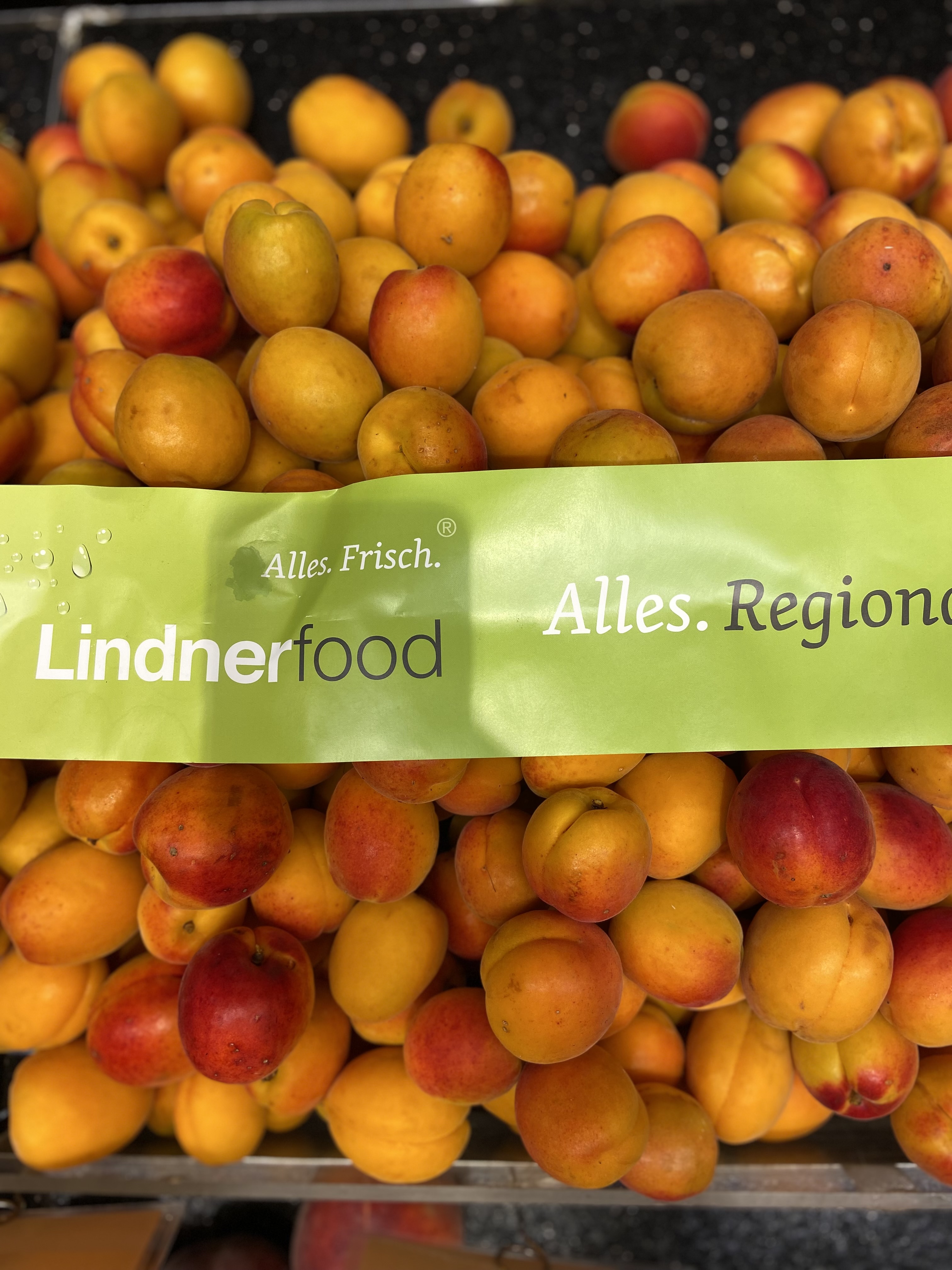 Obsthaus Rebell - START