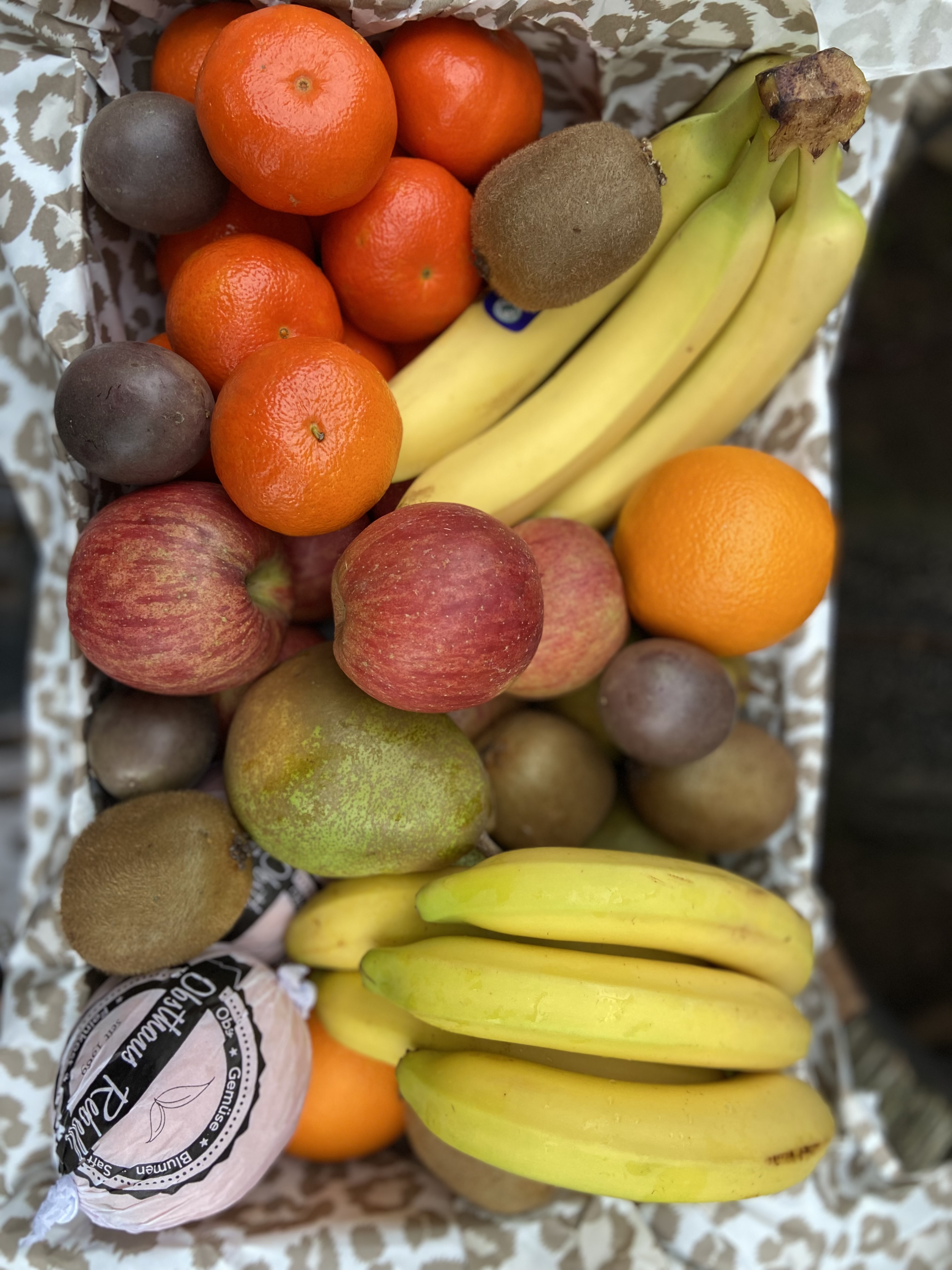 Obsthaus Rebell - START