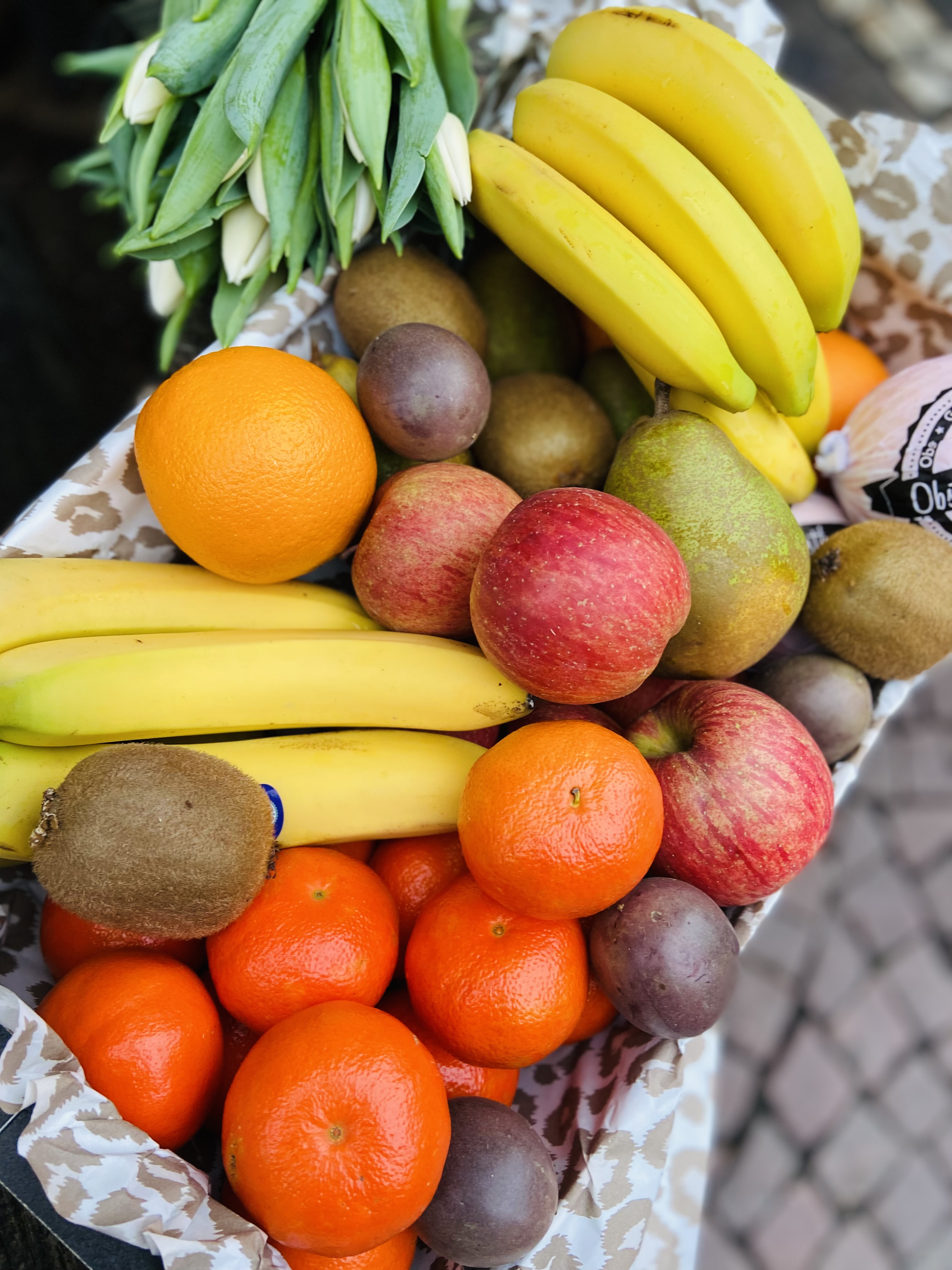 Obsthaus Rebell - START